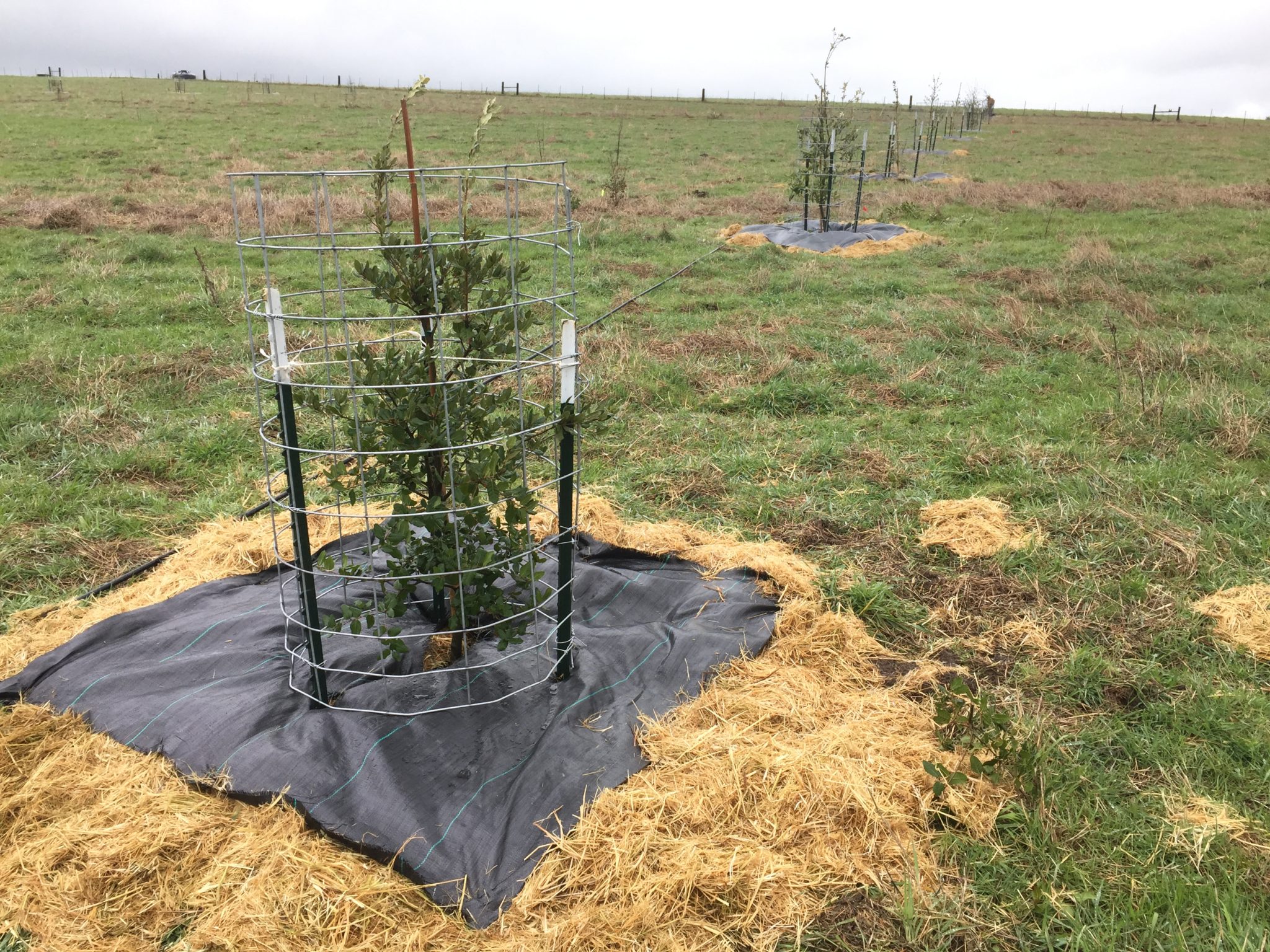 Carbon Farm Implementation - Marin RCD