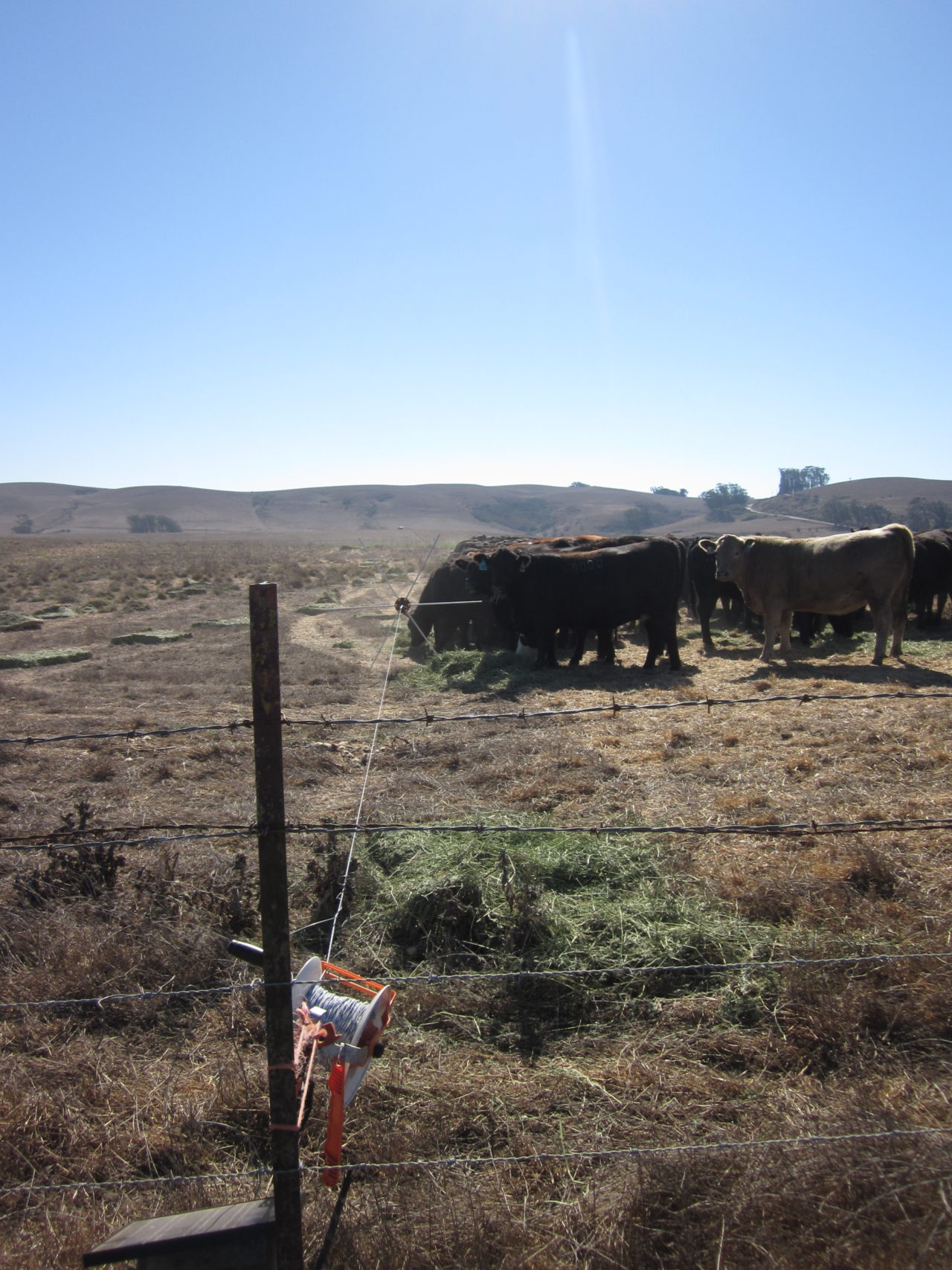 Carbon Farm Implementation - Marin RCD