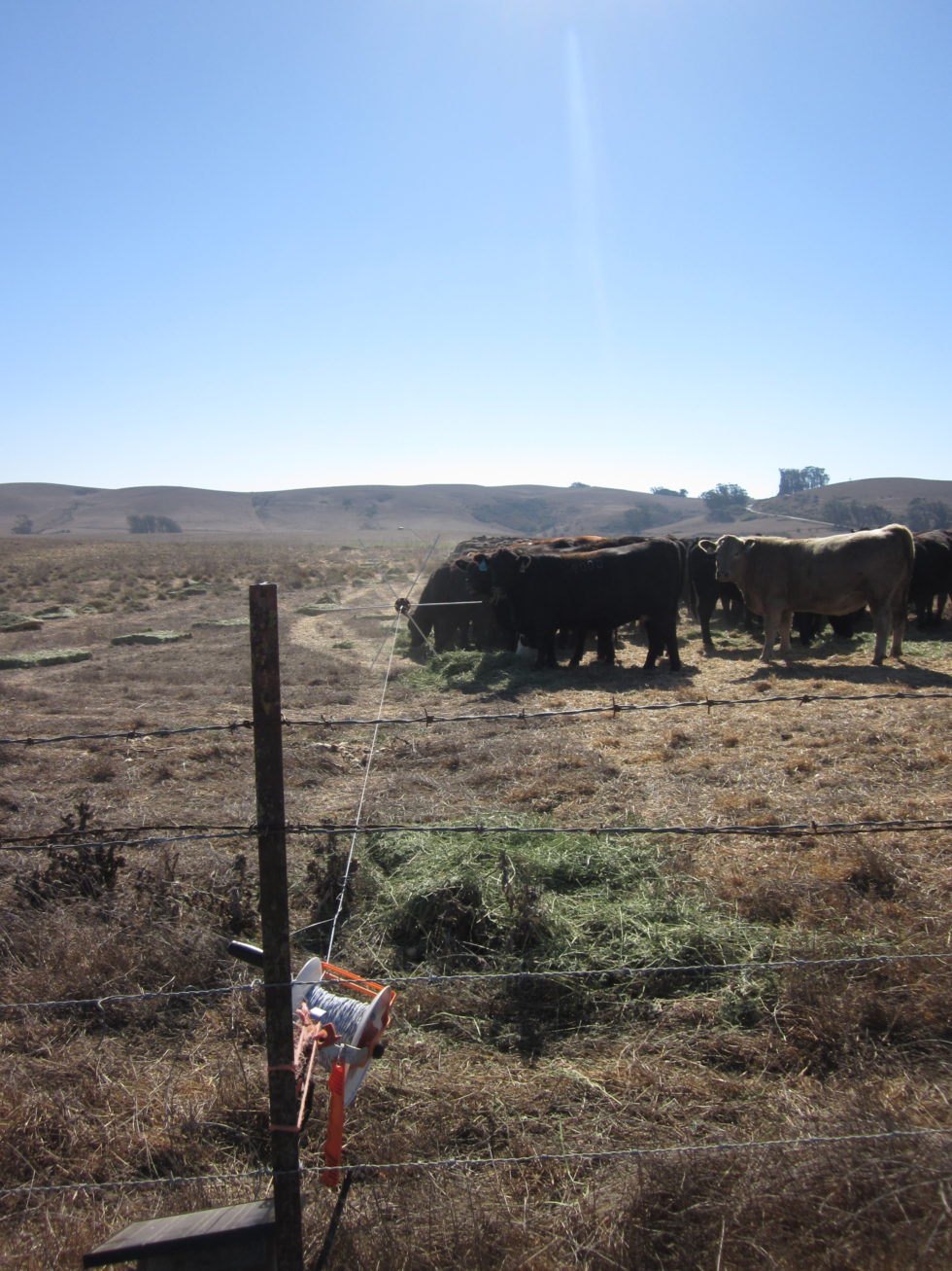 Carbon Farm Implementation - Marin RCD