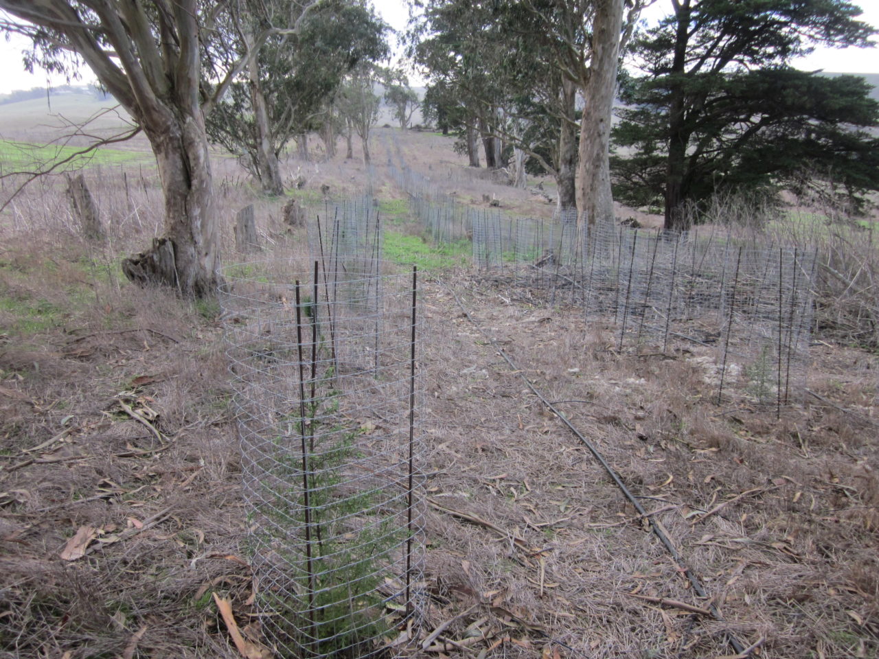 Carbon Farm Implementation - Marin RCD